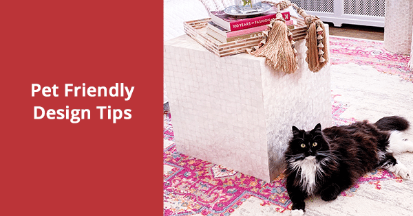 Pet Friendly Design Tips | Designs by Gia
